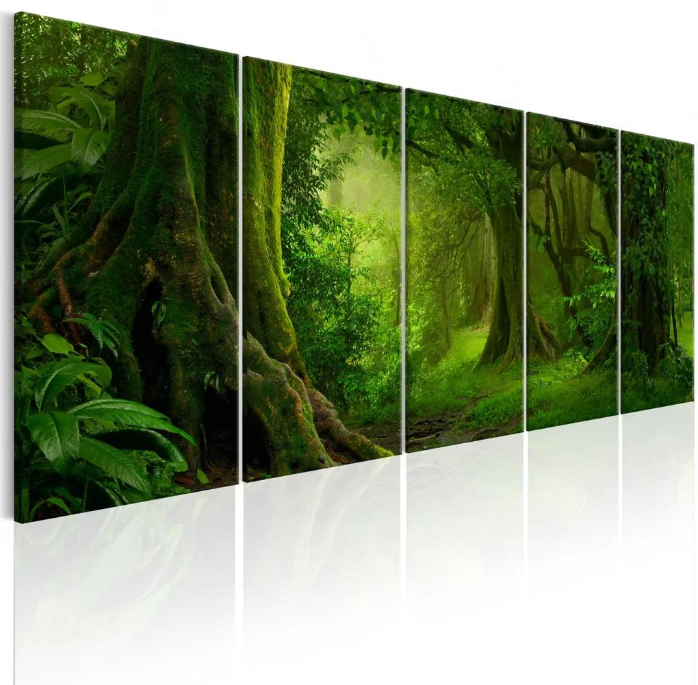 Vícedílný obraz - tropická džungle (150x60 cm) - Murando DeLuxe