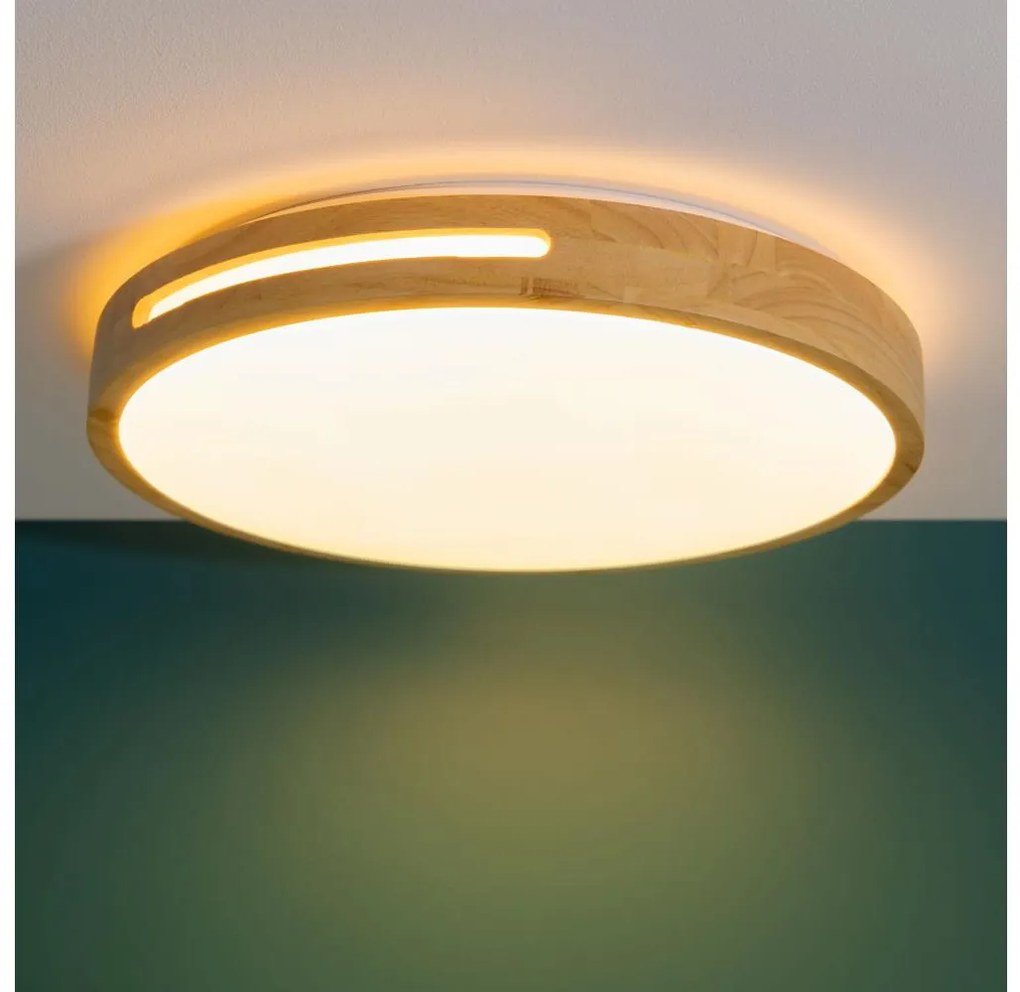Brilliant - LED Stmívatelné stropní svítidlo WOODBURY LED/24W/230V pr. 39 cm