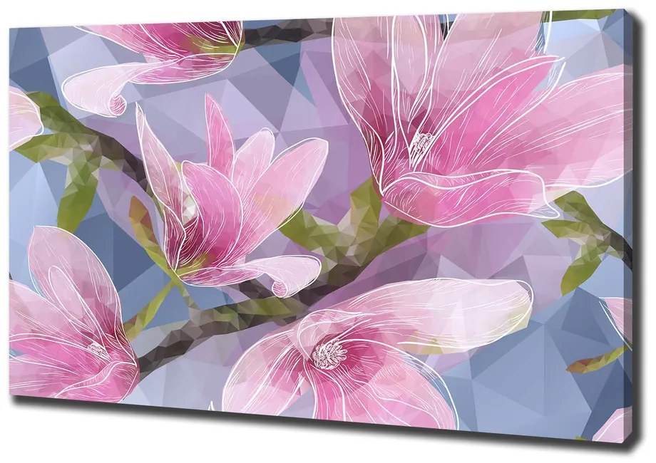 Wallmuralia Foto obraz na plátně do obýváku Růžová magnolie 100x70 cm