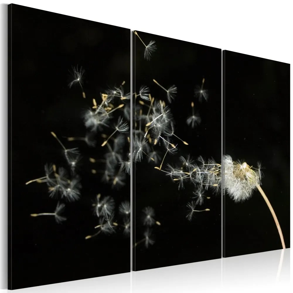 Obraz na plátně Bimago - Pampeliška ve větru 60x40 cm