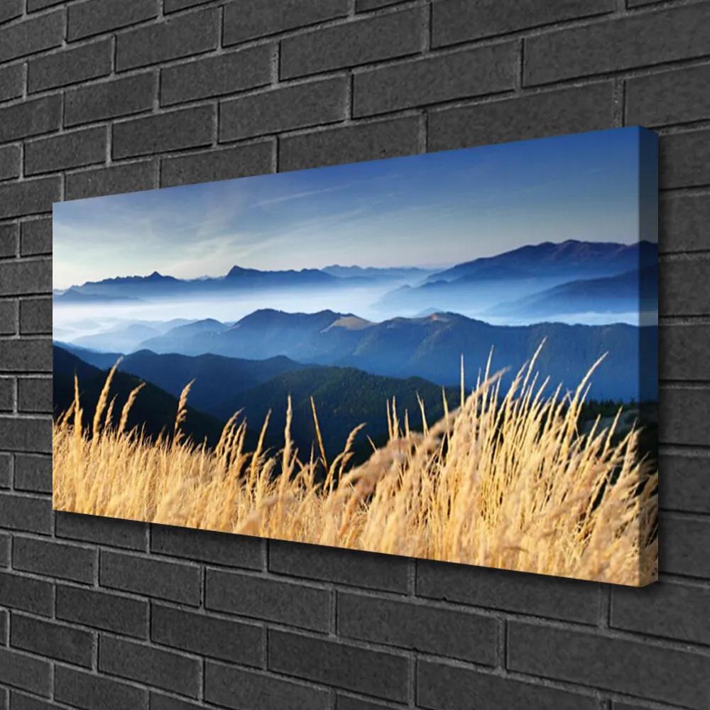 Obraz na plátně Pole Krajina 125x50 cm
