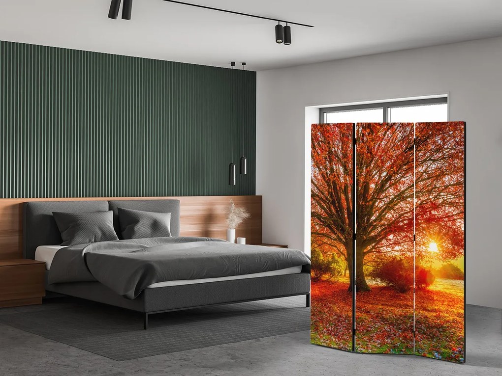 Paraván strom v paprscích slunce Rozměr: 135 x 180 cm