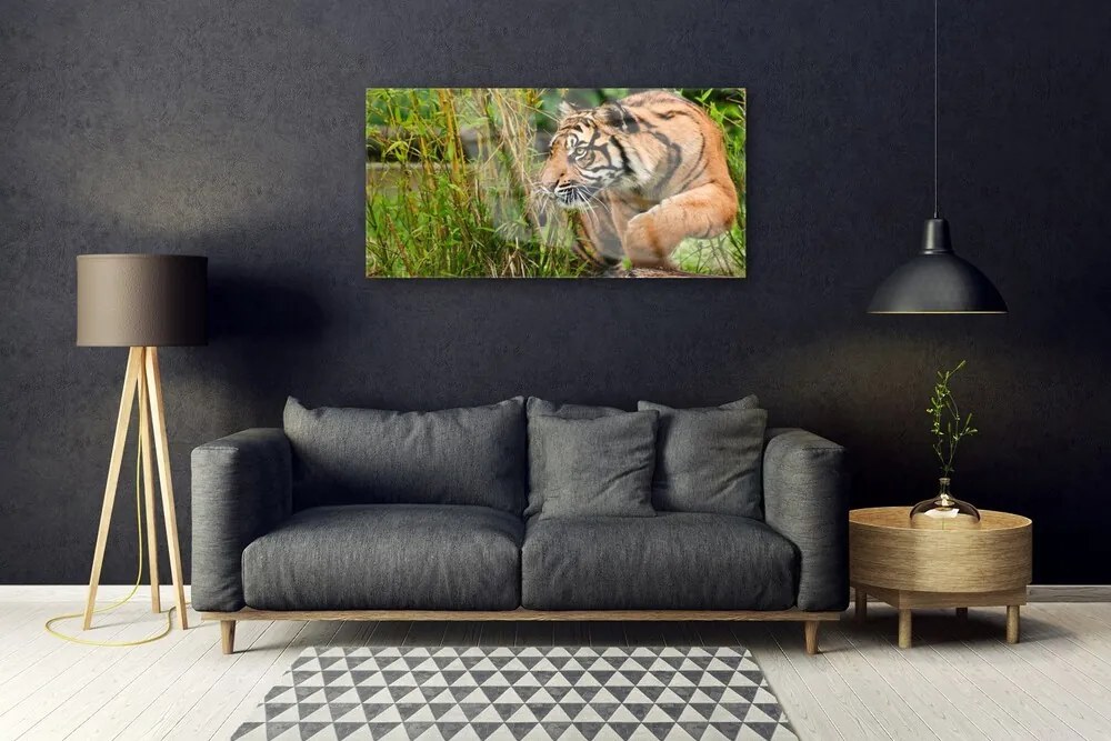 Obraz na skle Tygr Zvířata 140x70 cm