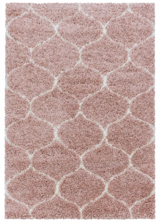 Kusový koberec Salsa 3201 Rose - 120 x 170 cm