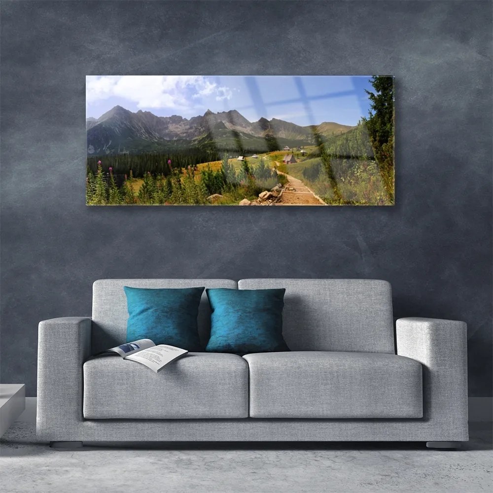 Plexisklo-obraz Hala Góry Droga Natura Łąka 125x50 cm