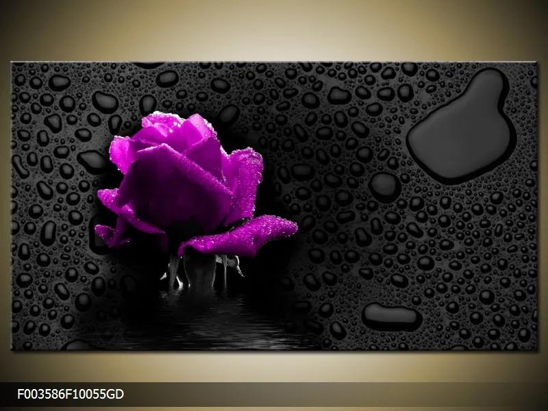 Obraz fialové růže  (), 40 dalších rozměrů
