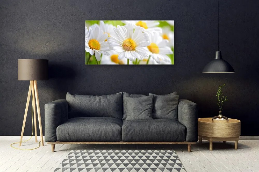 Obraz na skle Sedmikrásky Rostlina Příroda 140x70 cm