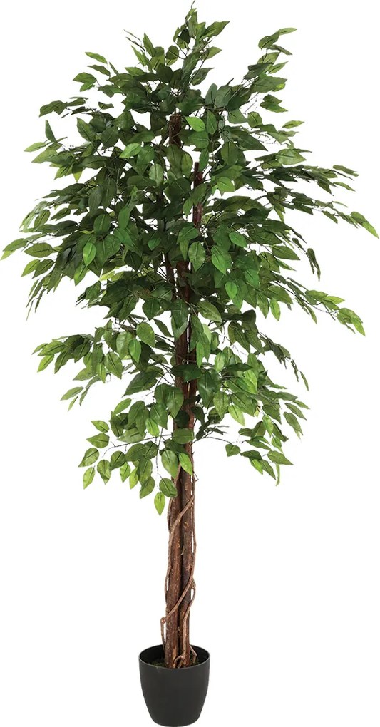 Vysoký umělý fíkus s květináčem, výška 180 cm