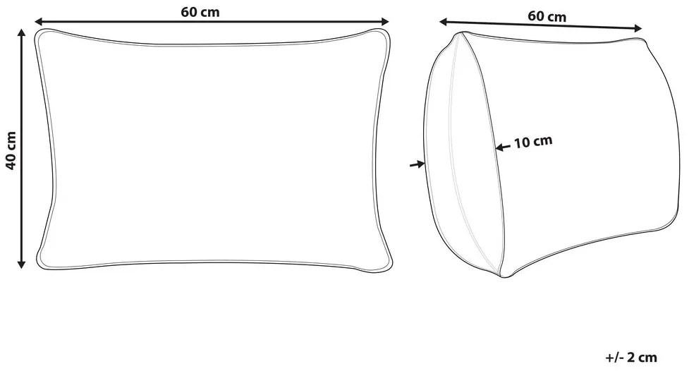 Vyšívaný bavlněný polštář s geometrickým vzorem 40 x 60 cm vícebarevný DANAPUR Beliani