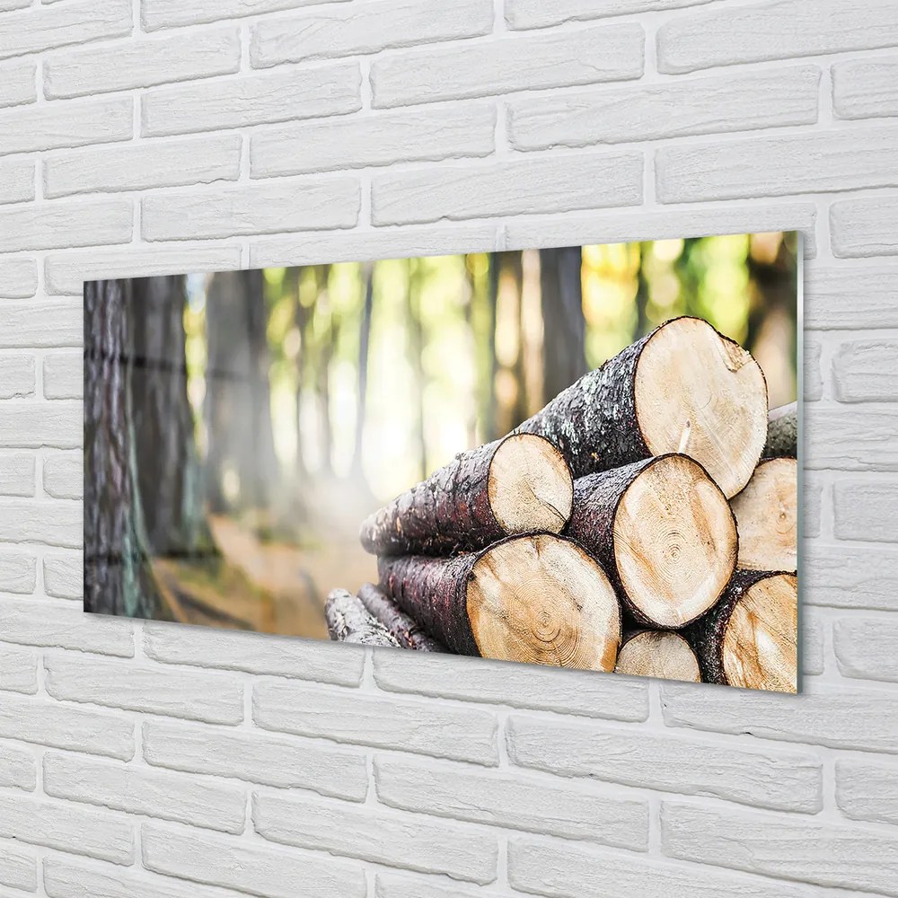 akrylový obraz Dříví prales přírodě 140x70 cm