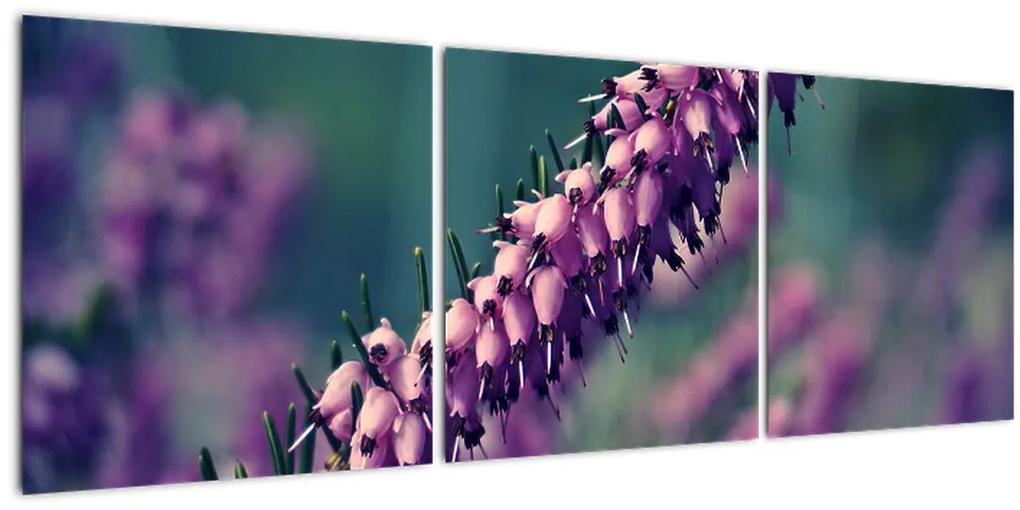 Obraz fialové květiny (120x40 cm), 40 dalších rozměrů