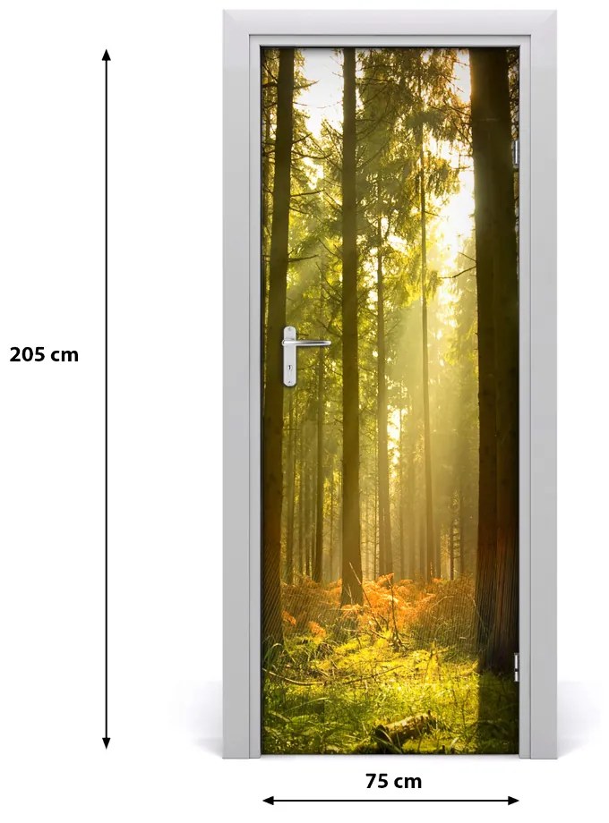 Fototapeta na dveře hezký les 75x205 cm