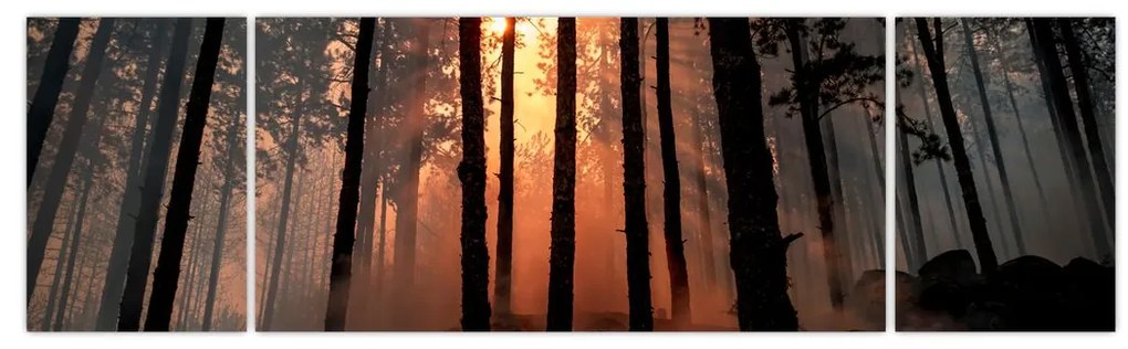 Obraz temného lesa (170x50 cm)