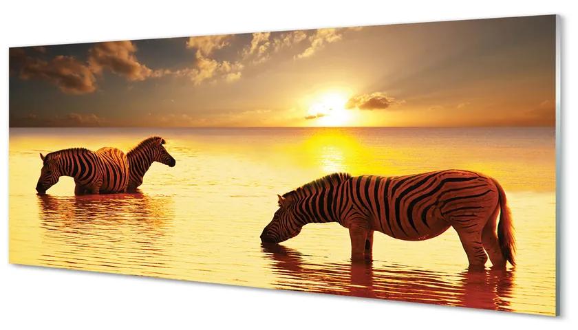 akrylový obraz Zebry voda západ slunce 120x60 cm