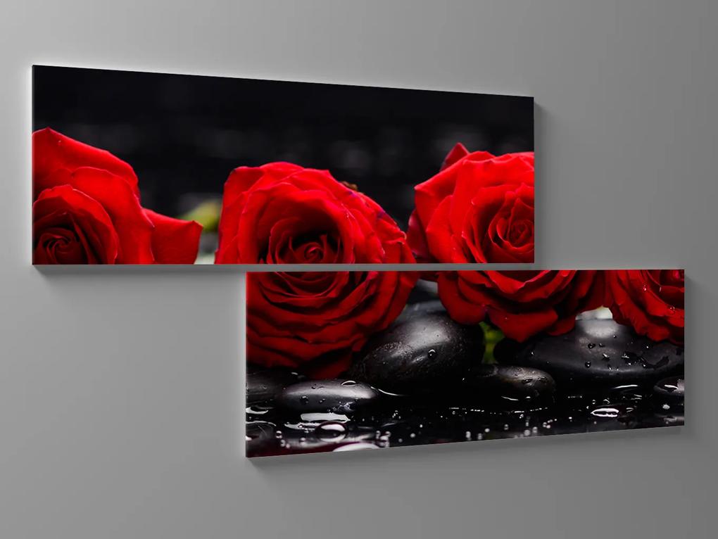 Liox Obraz růže a kameny Rozměr: 160 x 80 cm