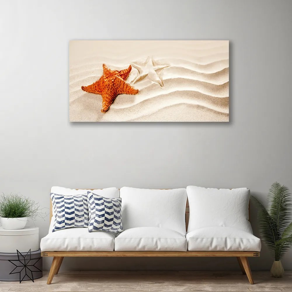 Obraz na plátně Hvězdice na Písku Pláž 120x60 cm
