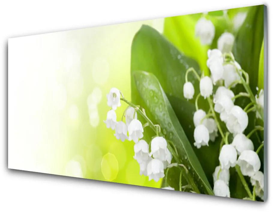 Obraz na skle Konvalinky Listy Květiny Louka 120x60 cm