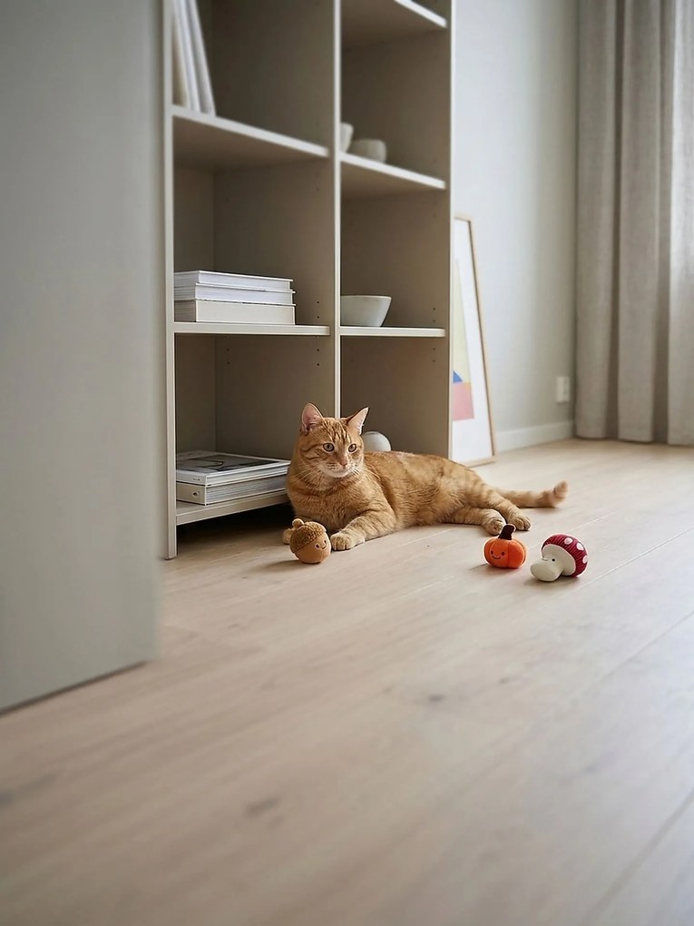 Sinsay - Hračky pro kočku s podzimním motivem 3 pack - vícebarevná