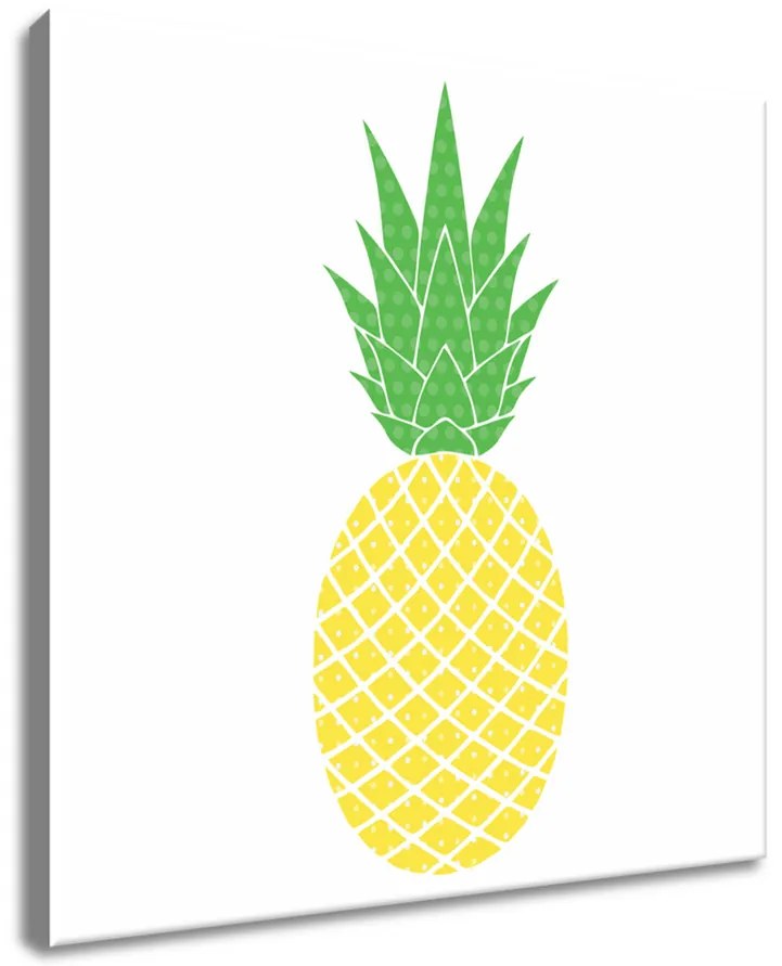 Gario Obraz na plátně Ananas Velikost: 30 x 30 cm