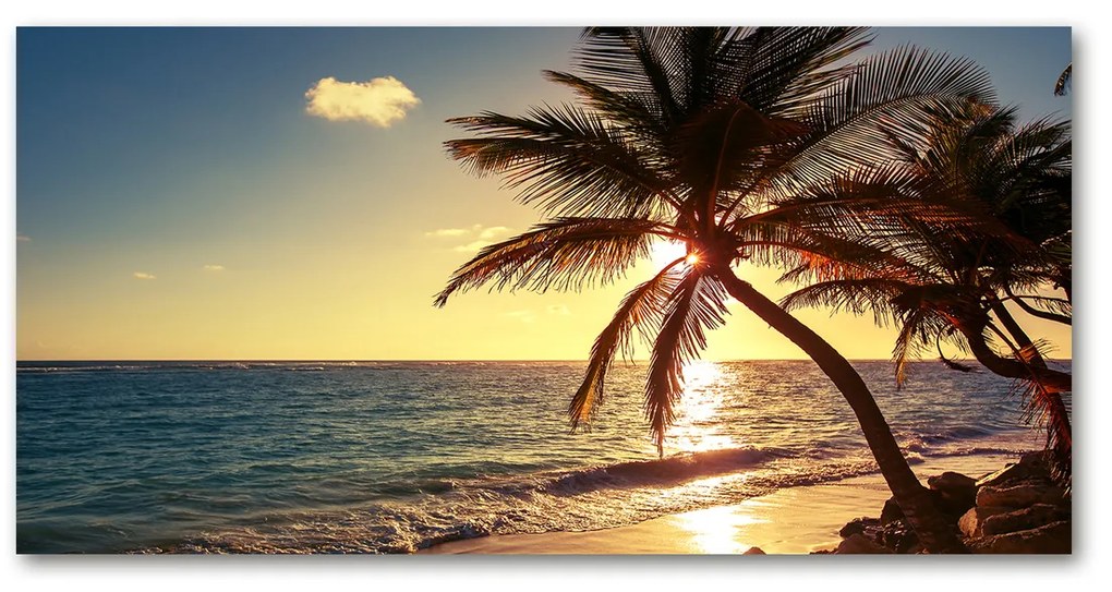 Fotoobraz na skle Tropická pláž
