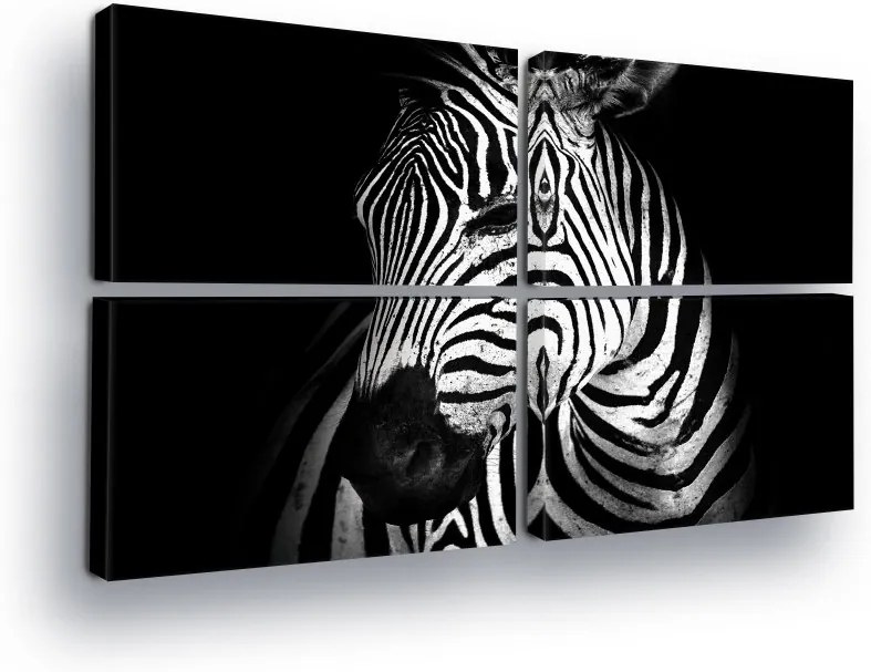 GLIX Obraz na plátně - Černobílá Zebra 4 x 60x40 cm