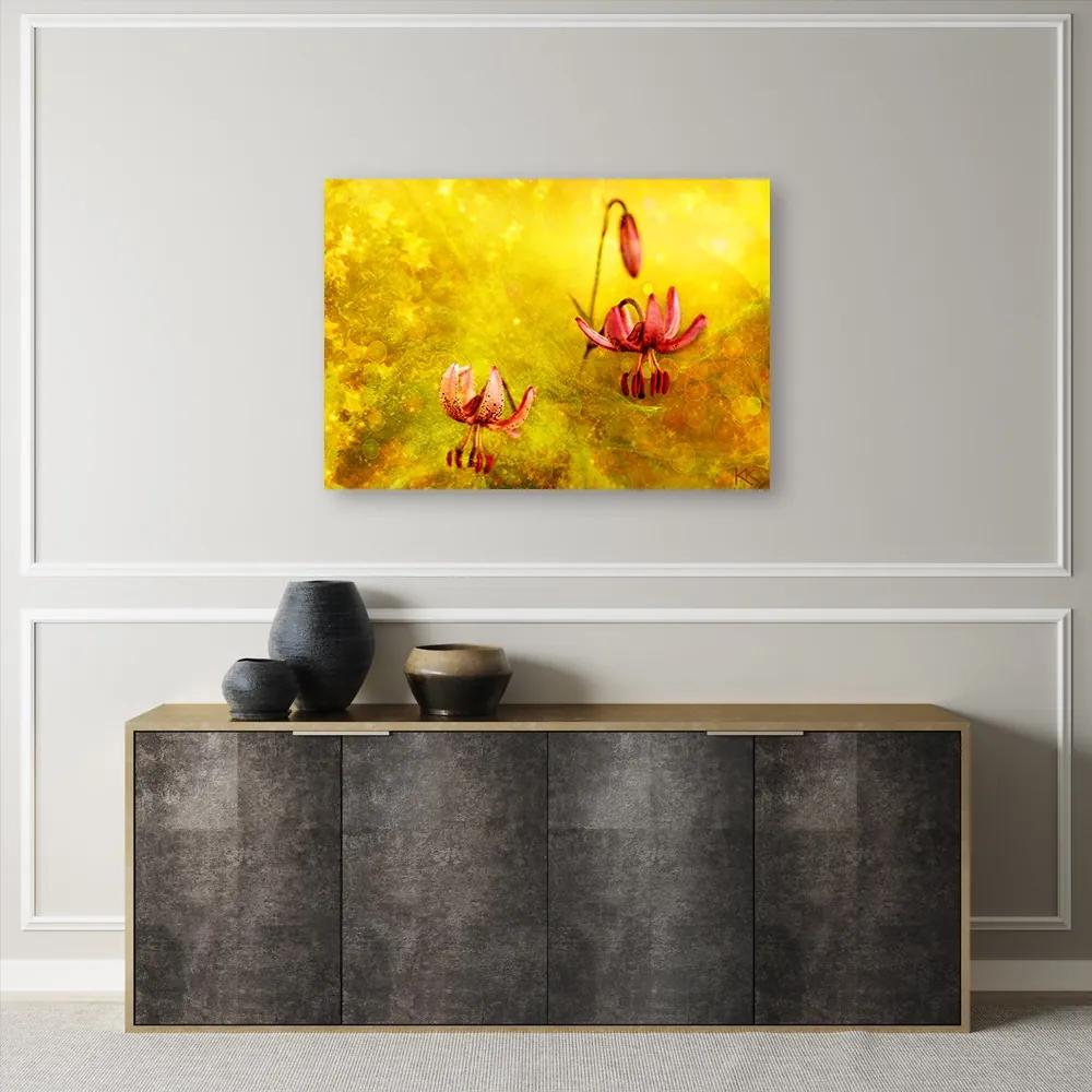Obraz na plátně, Zaskacené tulipásy květin - 120x80 cm