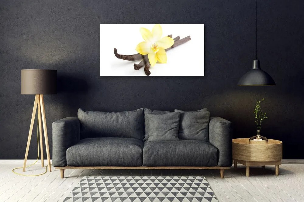Obraz na skle Vanilka Rostlina Příroda 125x50 cm
