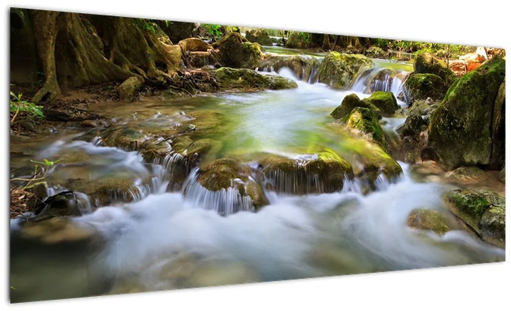 Řeka v lese - obraz (100x40cm)