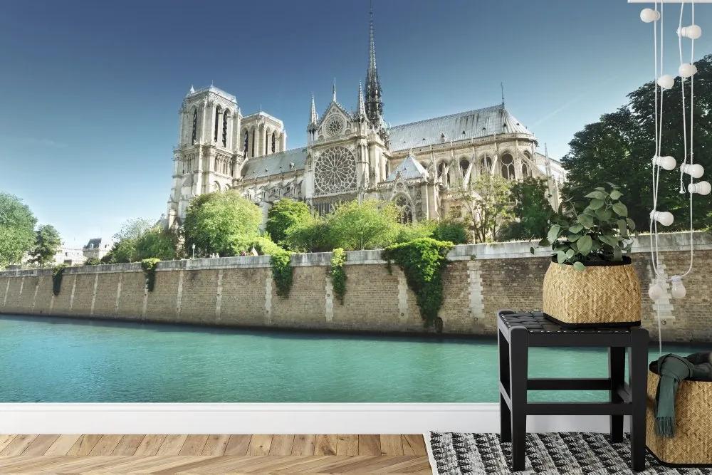 Fototapeta Paříž – Notre-Dame Hladký vinyl 152.5x104