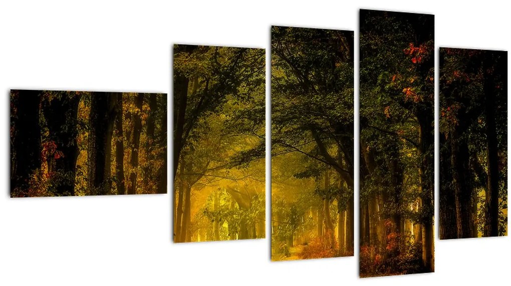 Obraz lesu (110x60 cm), 40 dalších rozměrů