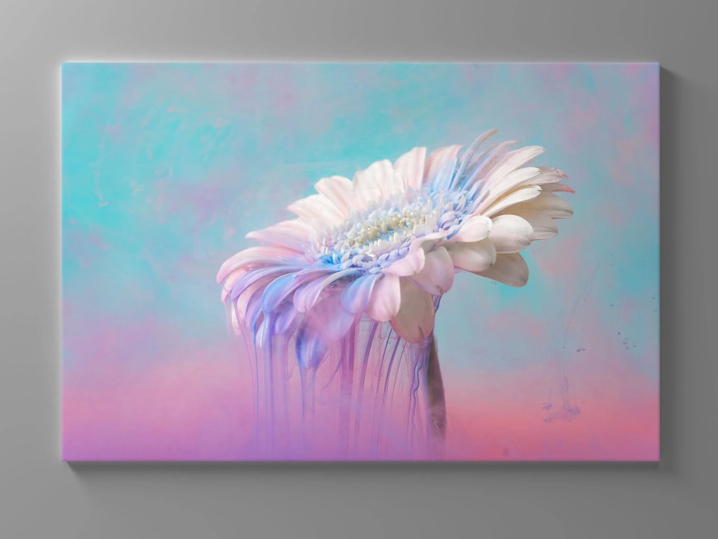 Růžovomodrý obraz gerbera Rozměr: 120 x 80 cm