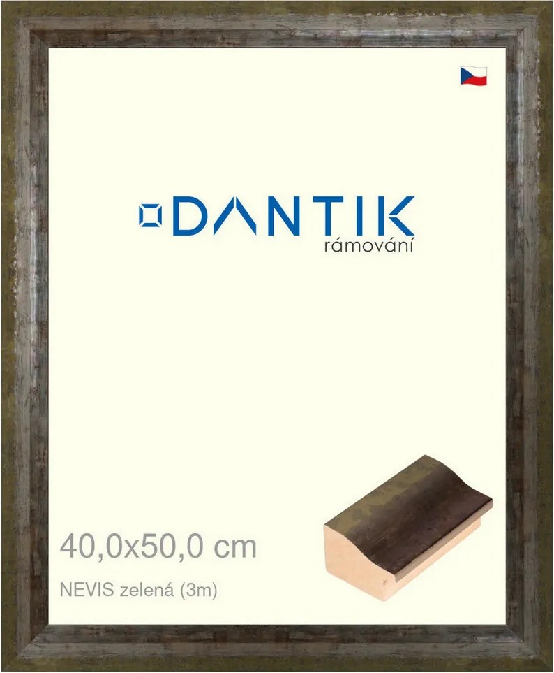 DANTIK rámeček 40x50 | NEVISzelená (Plexi Čiré)