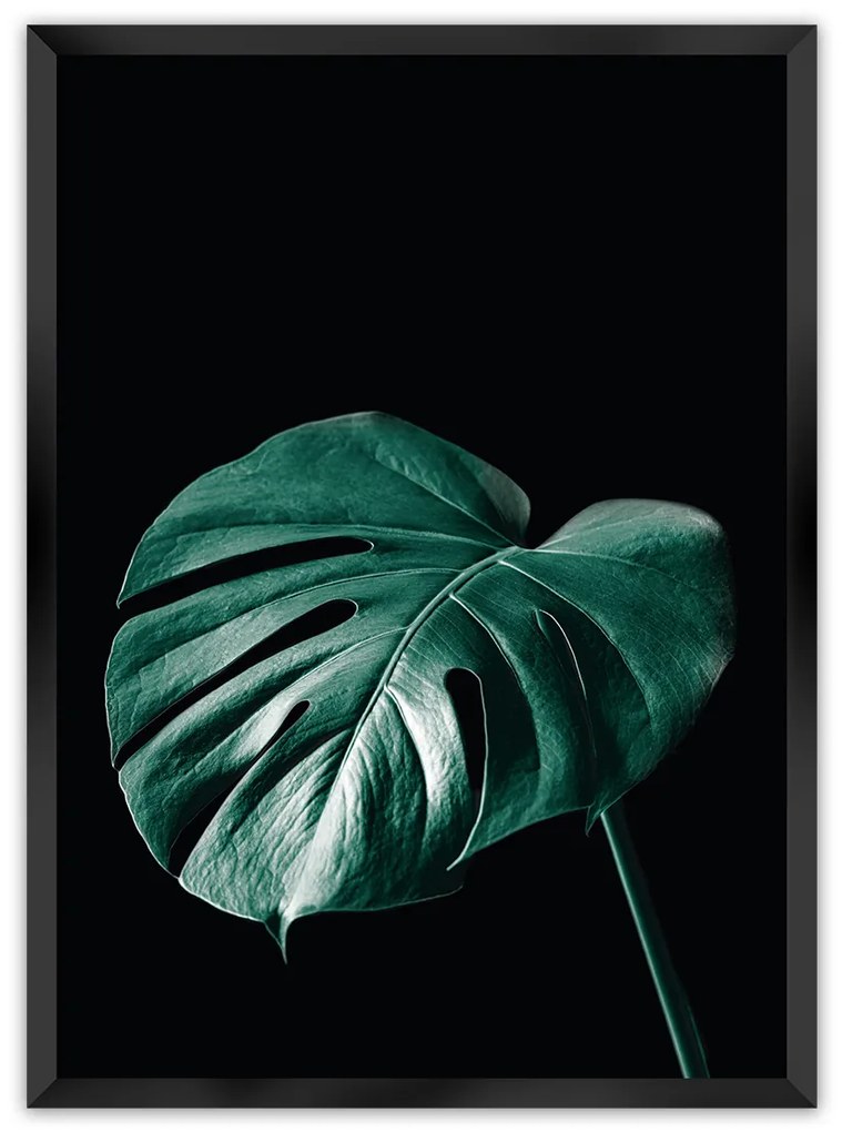 Plakát Dark Monstera