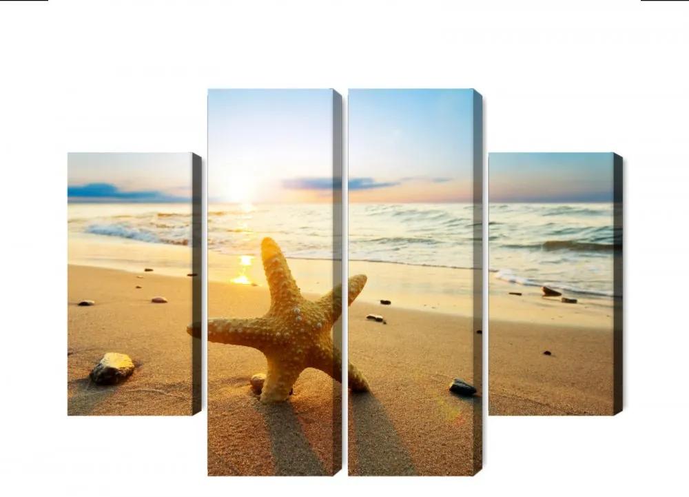 Vícedílný obraz Hvězdice Na Pláži 3D Nedostatek Nedostatek Přírodní plátno 200x150