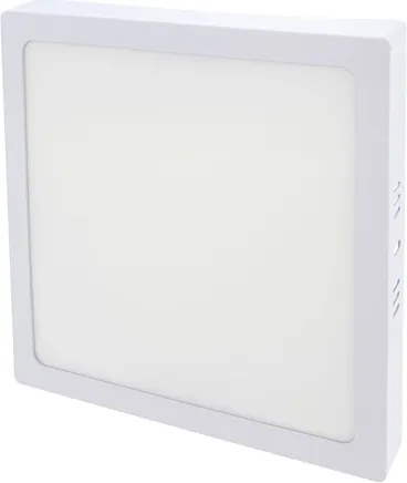 LED Stropní svítidlo LED/18W/230V 2700K 21x21 cm bílá