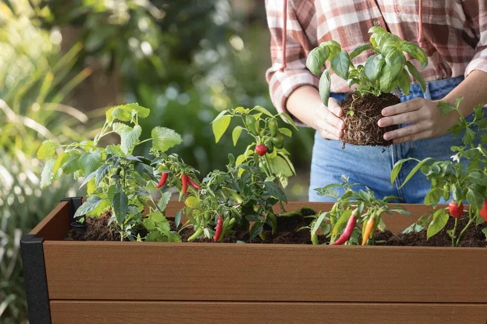 KETER Darwin garden bed - vyvýšený záhon - Brown
