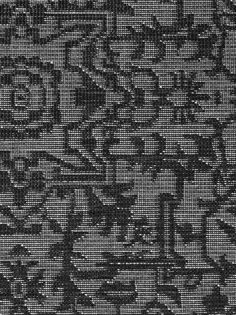 NORTHRUGS, Kusový koberec Duet Kona 106248 Black/White - na ven i na doma, 200x290, černobílá, chodba / předsíň