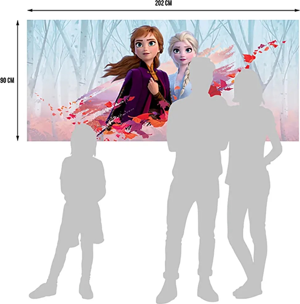 Dětská vliesová fototapeta na zed' Ledové království Sestry, Disney | 202 x 90 cm | DFTDNH 5388