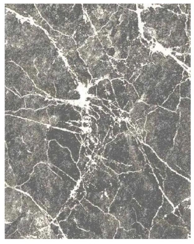 Kusový koberec Adelle - 20081-0825 šedý - 200x290cm