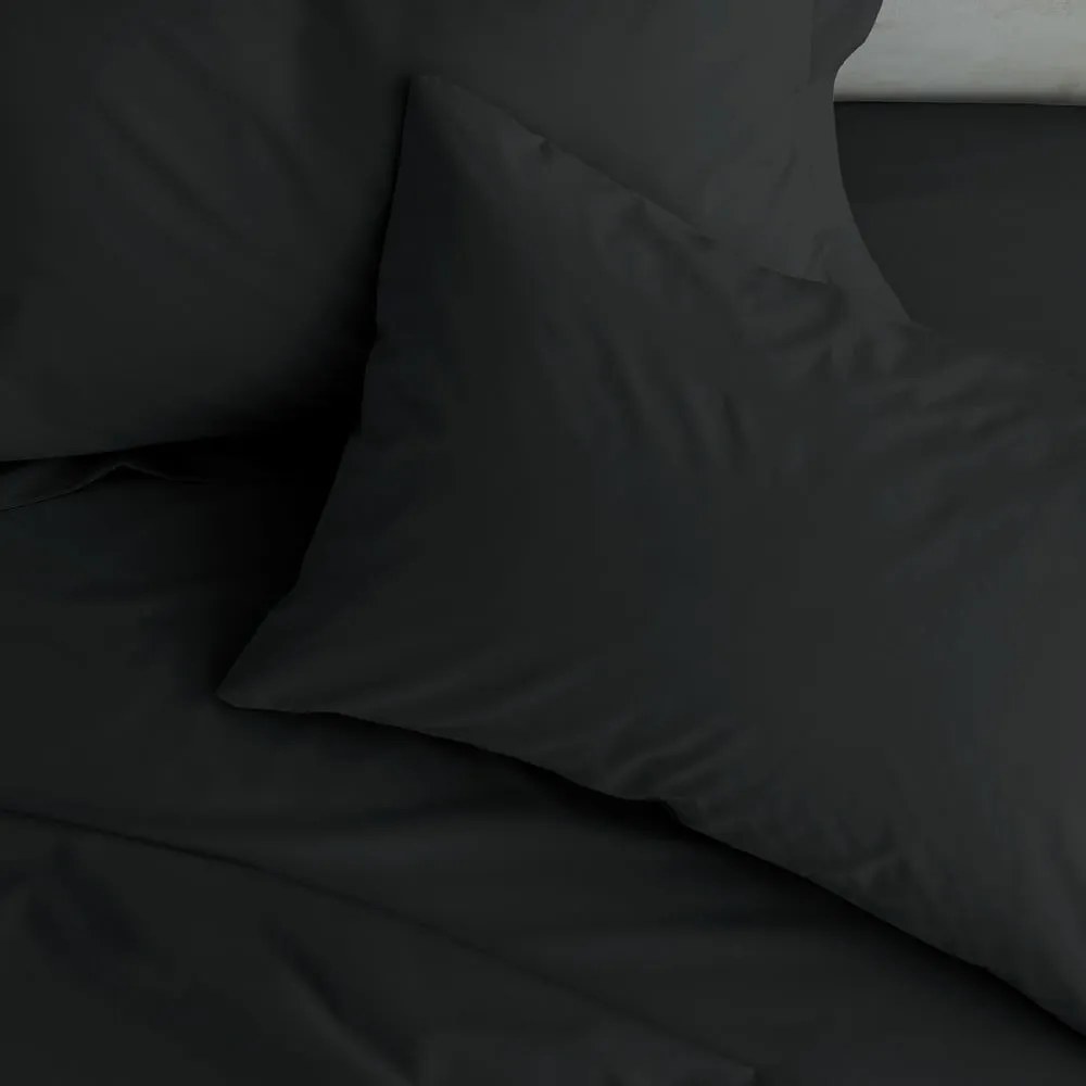 Perkálové povlaky na polštáře v sadě 2 ks 50x75 cm Easy Iron Percale – Catherine Lansfield
