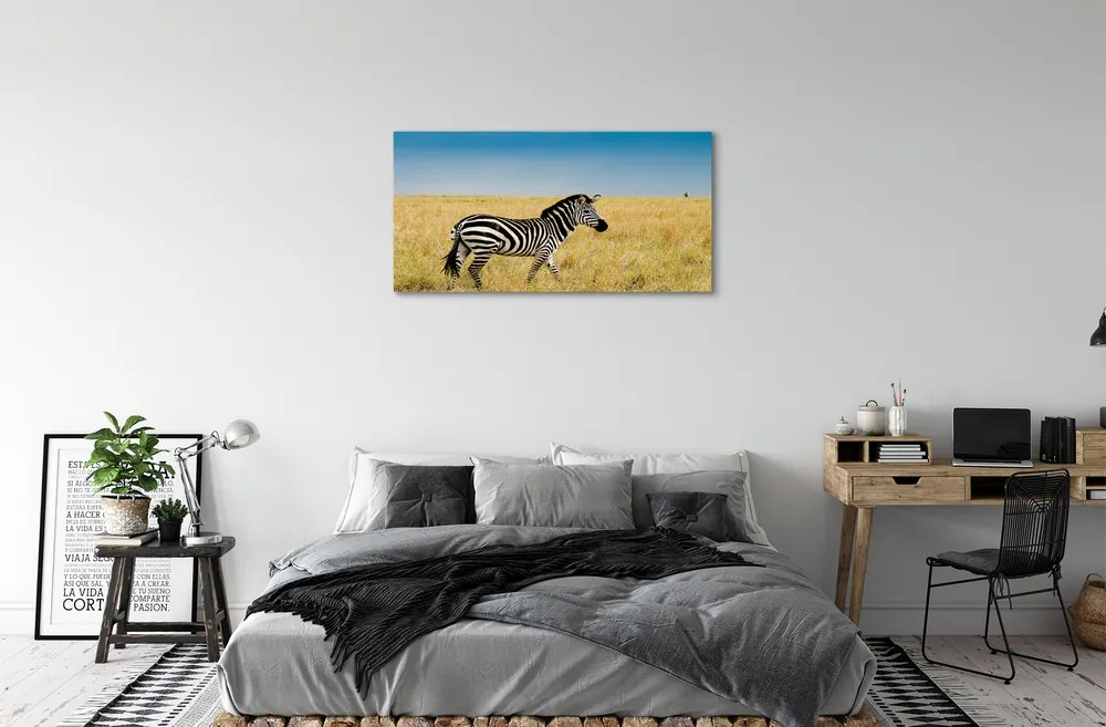 Obrazy na plátně Zebra box 140x70 cm