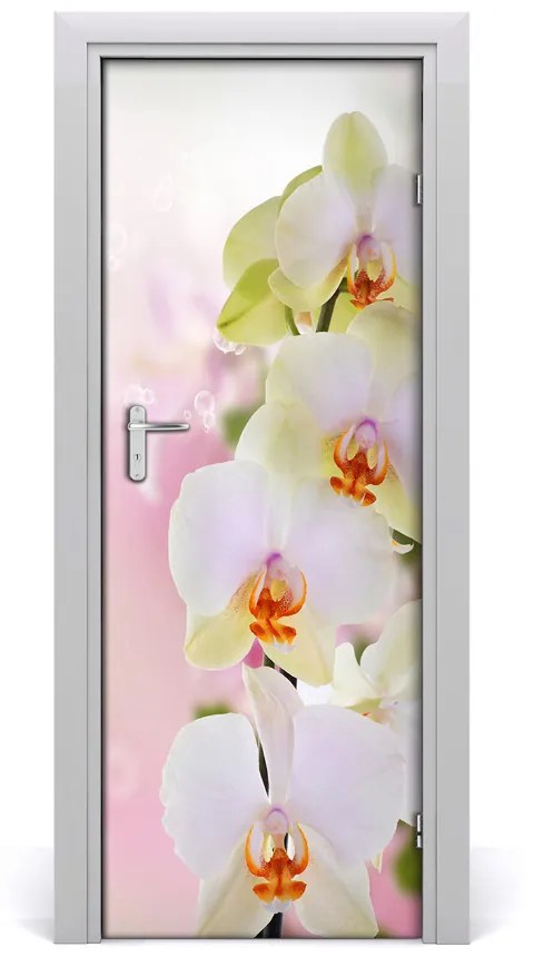 Samolepící fototapeta na dveře Bílá orchidej 95x205 cm