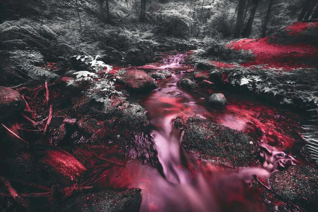 DIMEX | Samolepicí vliesová fototapeta na zeď Rudý proud v džungli MA-5-1608 | 375 x 250 cm | červená, černá, růžová