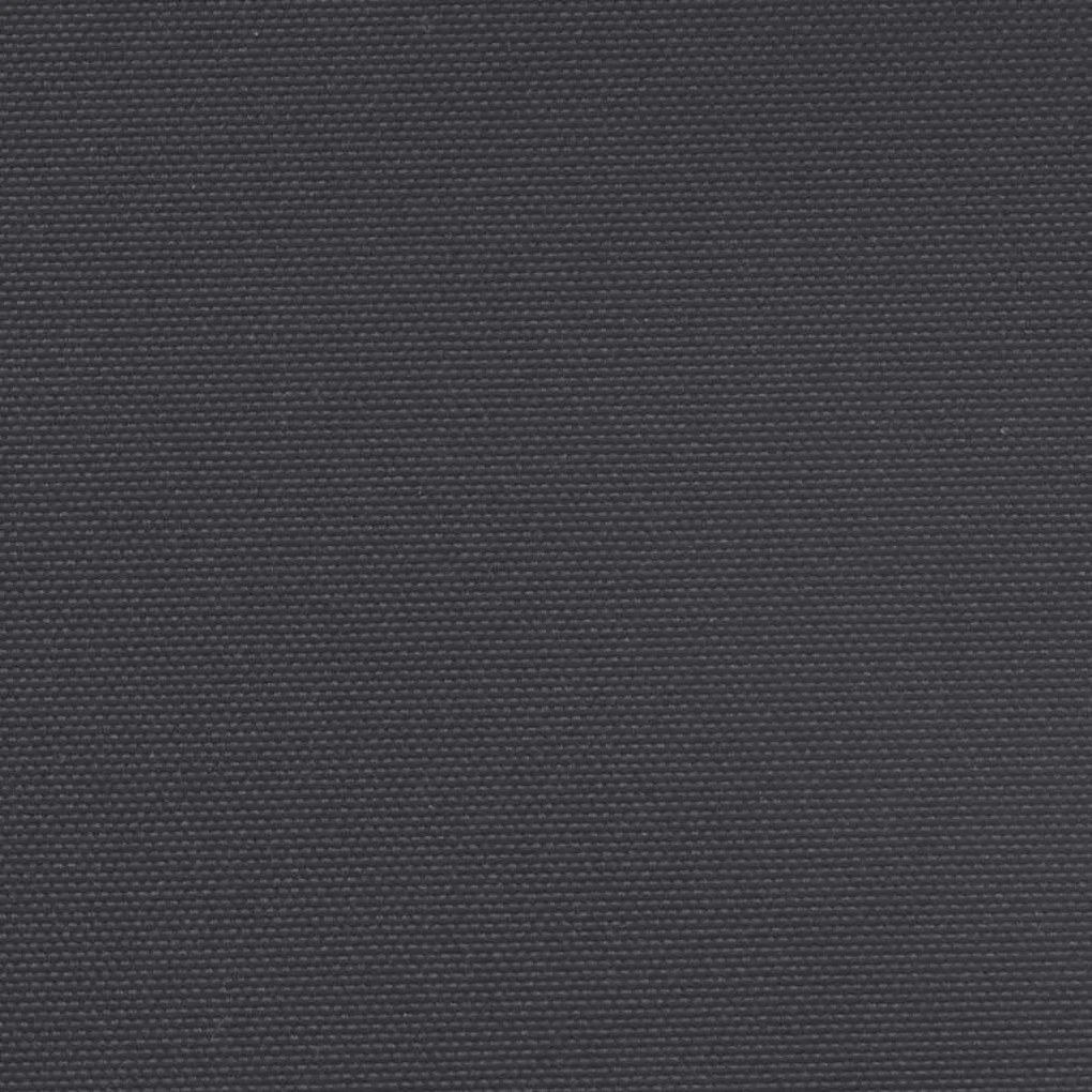 vidaXL Zatahovací boční markýza 180 x 500 cm [4004446] Barva: antracitová