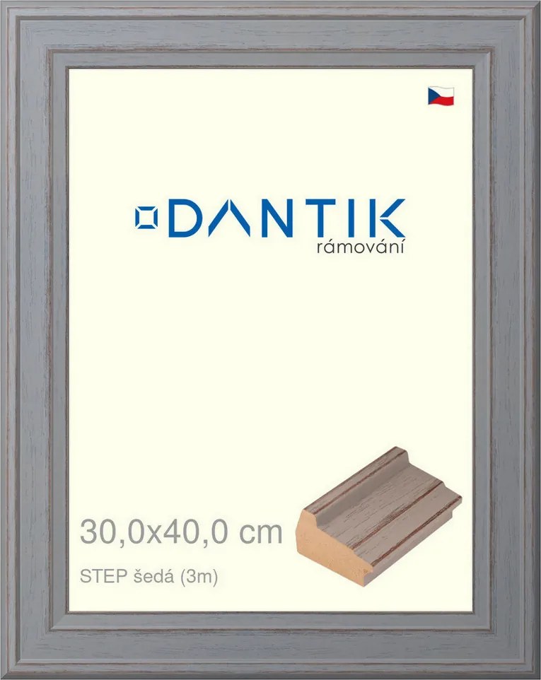 DANTIK rámeček 30x40 | STEP šedá (Plexi Čiré)
