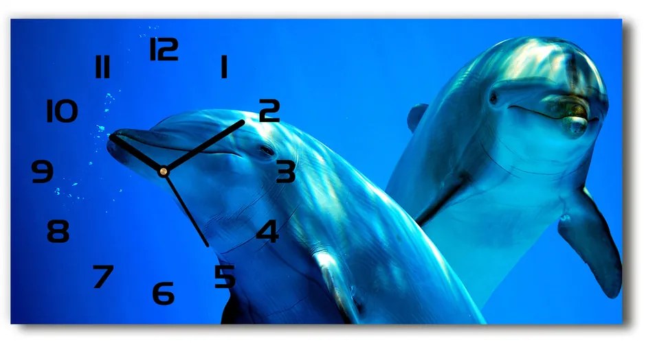 Wallmuralia Moderní skleněné hodiny na stěnu Dva delfíni 60x30 cm