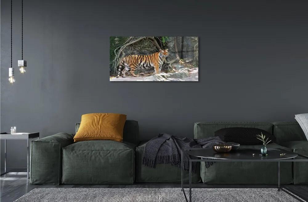 Obraz na skle tygr džungle 100x50 cm