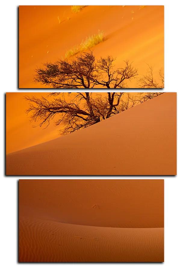 Obraz na plátně - Červené písečné duny - obdélník 7133C (105x70 cm)