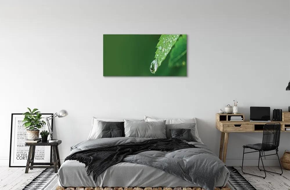Obrazy na plátně Kapka vody listí 140x70 cm