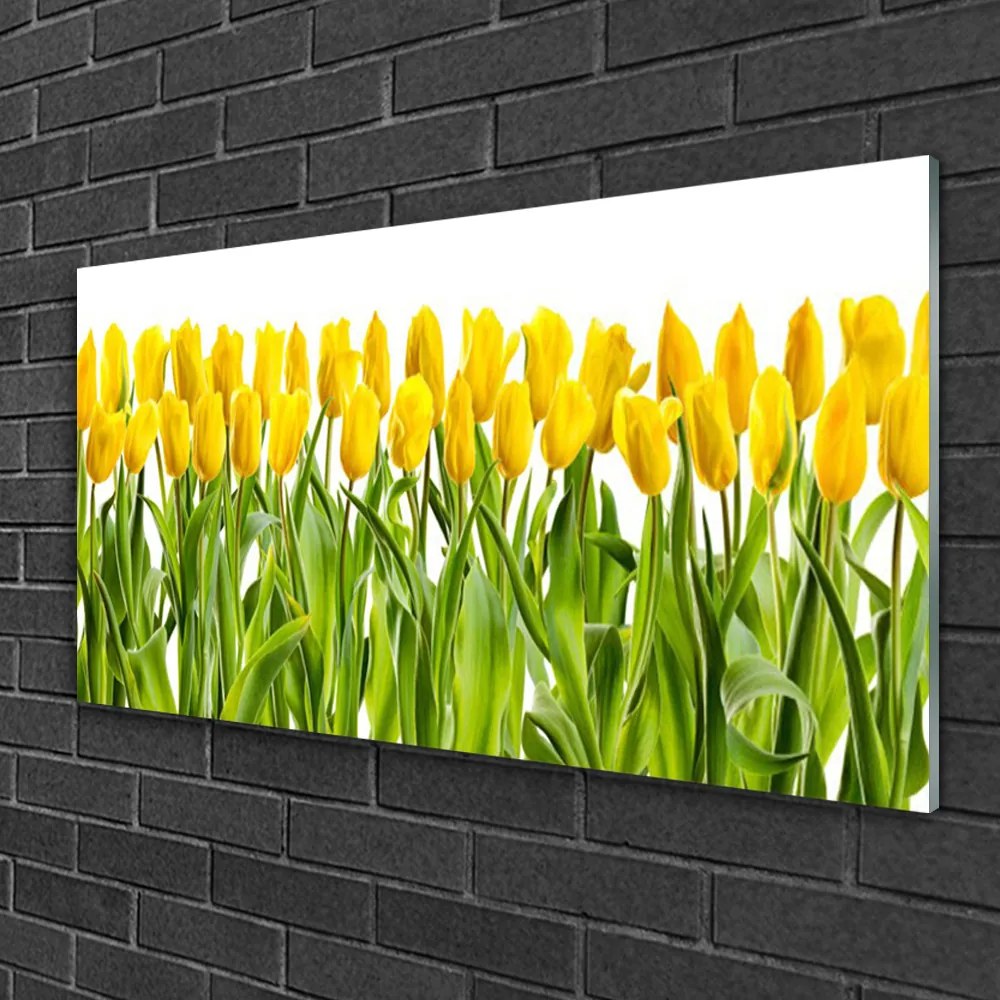 Obraz na skle Tulipány Květiny Příroda 100x50 cm